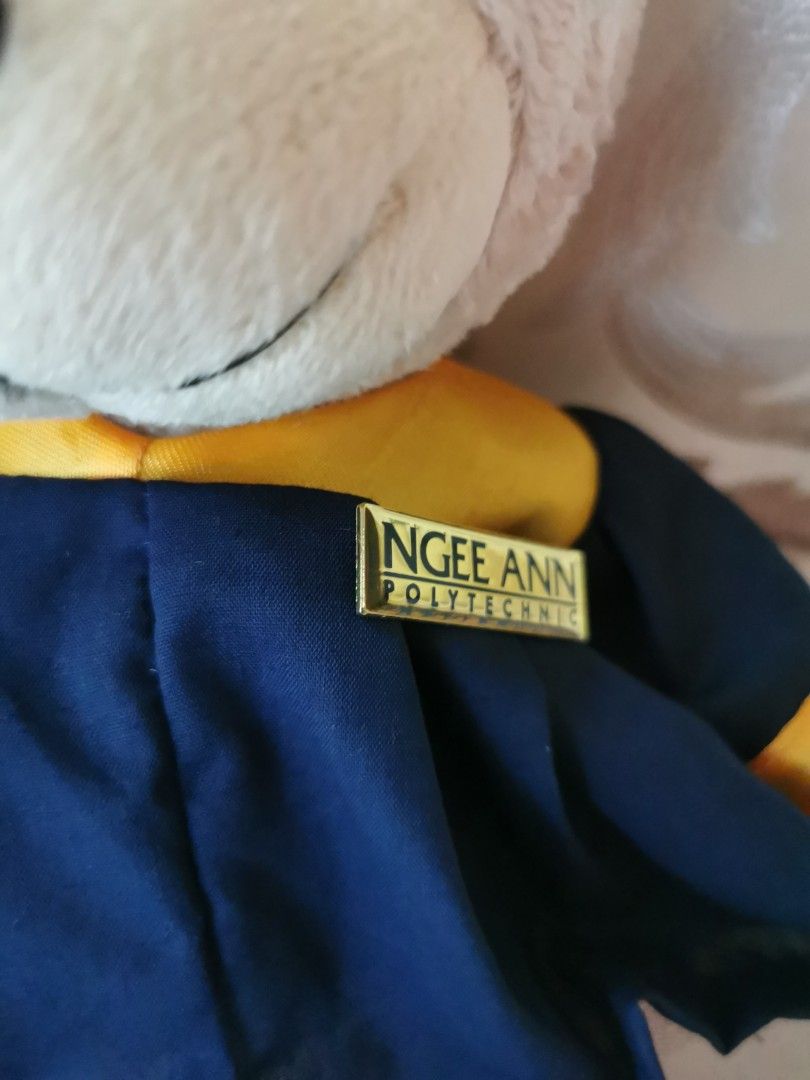 Ngee Ann polytechnic Graduation Bear, Hobbies & Toys, Memorabilia ...