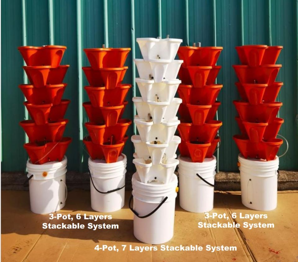 Only $99 for a set of the 3-Pot, 6-Layers, and 4-Pot, 7-Layers ...