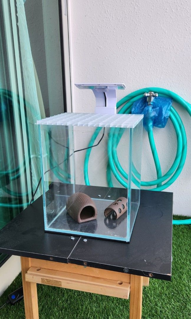 Tall cube tank for shrimps or betta, Pet Supplies, Homes & Other Pet ...