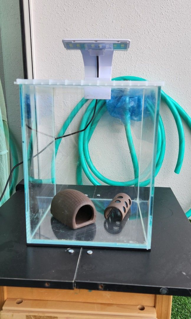Tall cube tank for shrimps or betta, Pet Supplies, Homes & Other Pet ...
