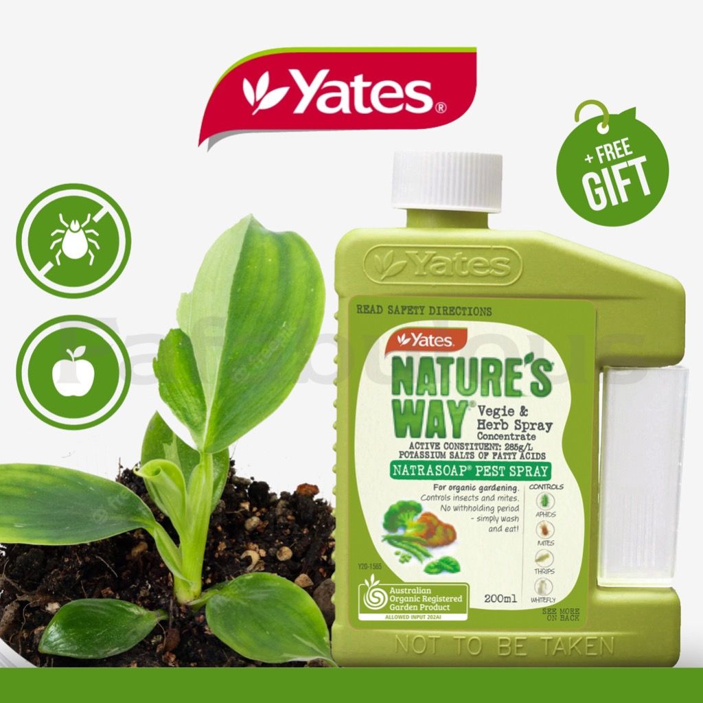 Yates - Organic Pesticide - Herbs and Veggie Spray - Prevention and ...