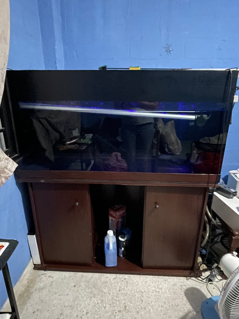 4ft fish tank, Pet Supplies, Homes & Other Pet Accessories on Carousell