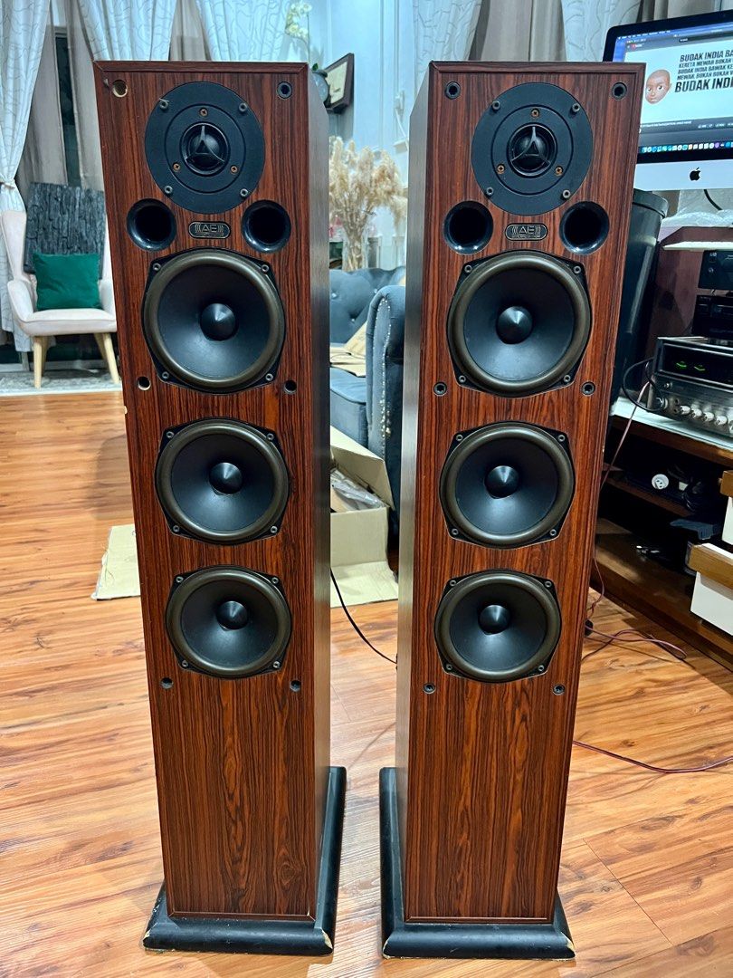 AE FloorStander Speaker AE120, Audio, Soundbars, Speakers & Amplifiers ...