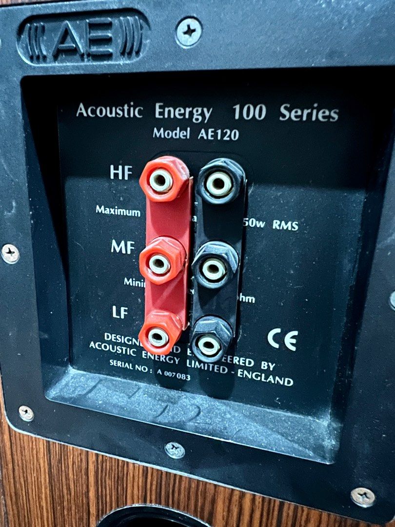 AE FloorStander Speaker AE120, Audio, Soundbars, Speakers & Amplifiers ...