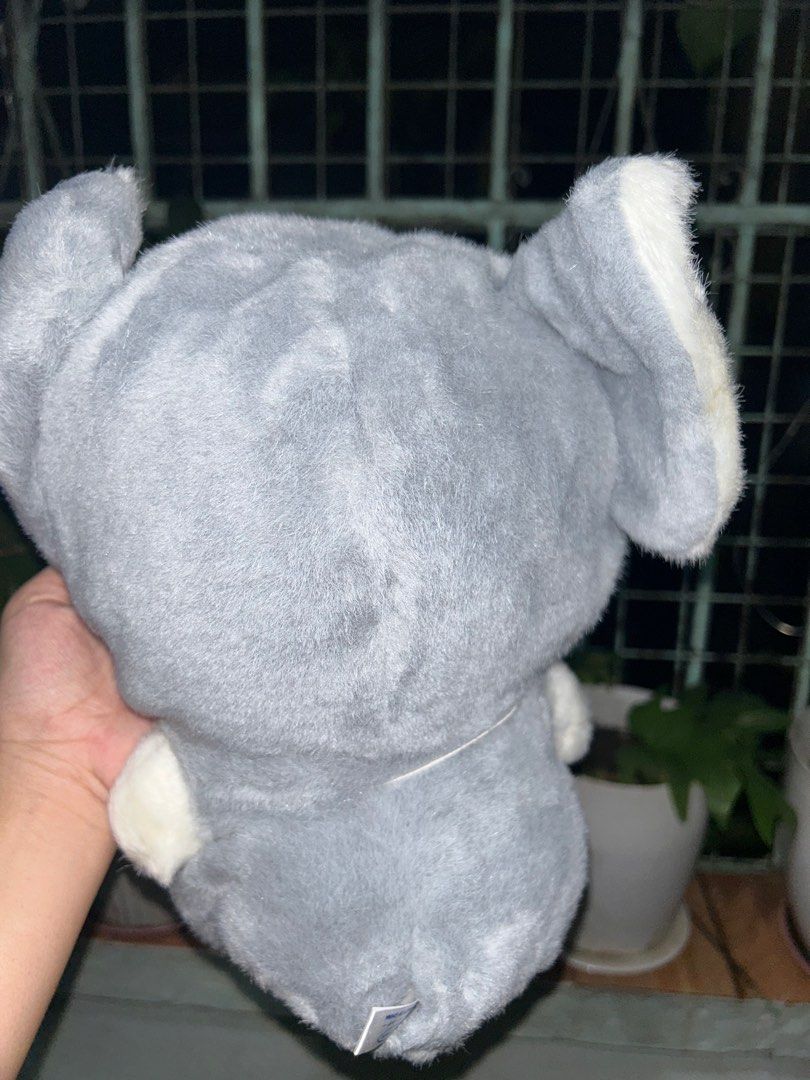 Authentic Hello Kitty Koala Plush on Carousell