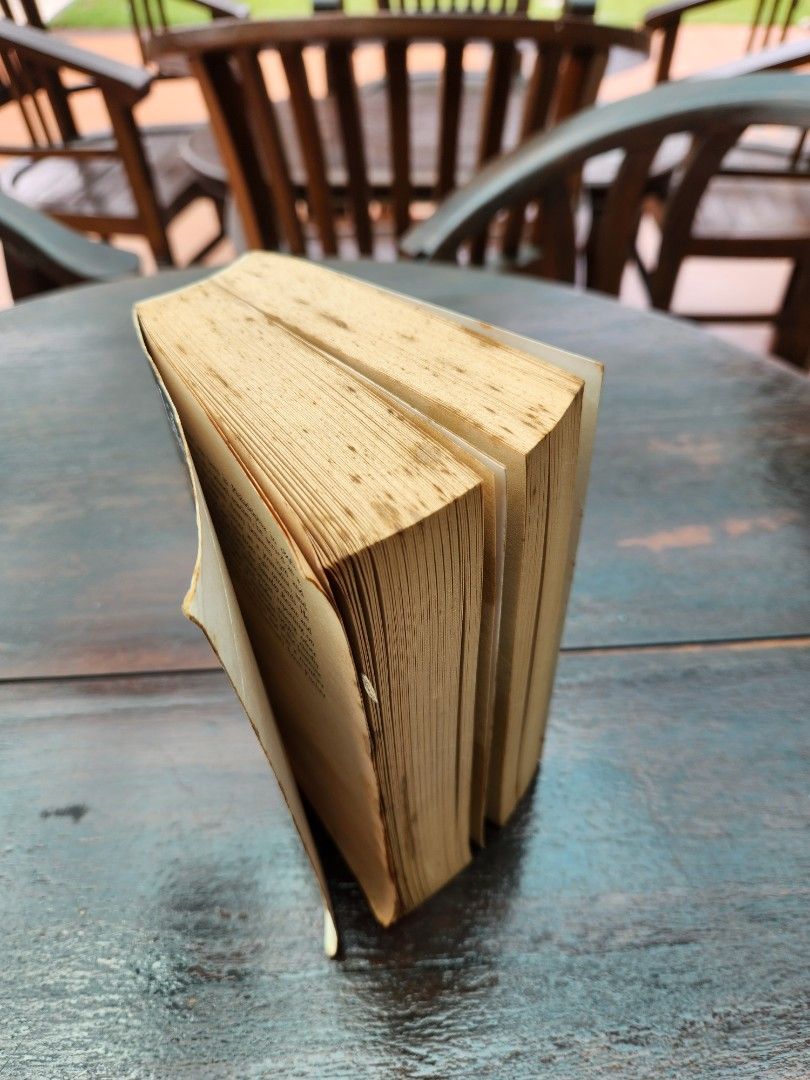 (Biography) The Life of Mahatma Gandhi by Louis Fischer, Hobbies & Toys ...