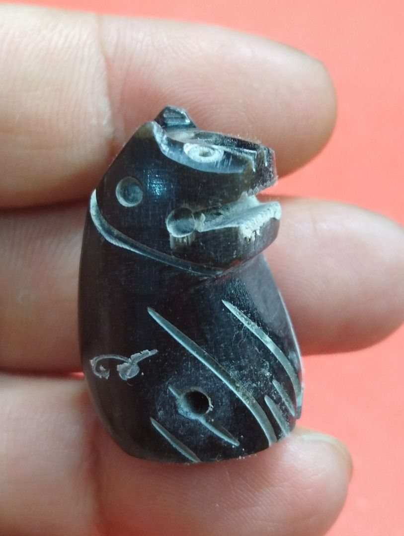 C2 - TIGER BLACK BUFFALO HORN, Hobbies & Toys, Memorabilia ...