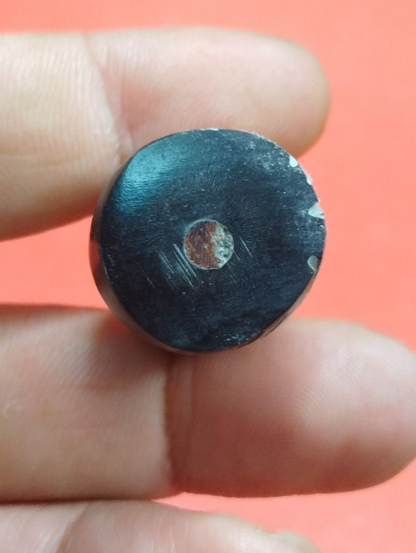 C2 - TIGER BLACK BUFFALO HORN, Hobbies & Toys, Memorabilia ...