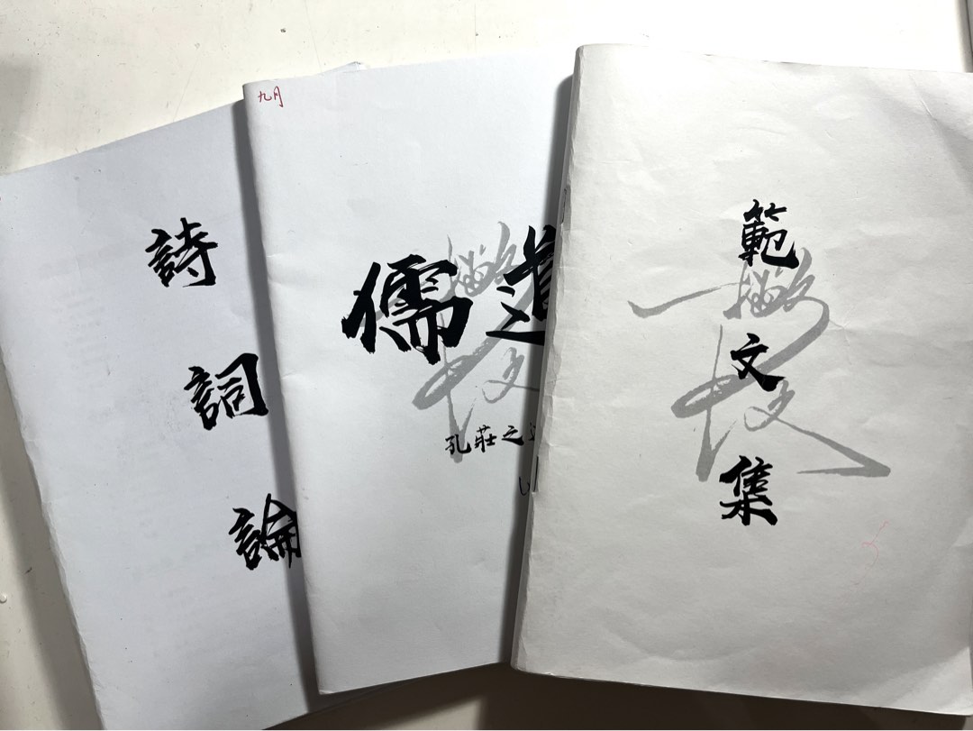 Dse Ching notes｜一撇中文筆記｜Dse 中文十二篇, 興趣及遊戲, 書本 & 文具, 教科書 - Carousell
