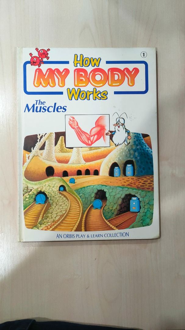 How My Body Works The Muscles, Hobbies & Toys, Books & Magazines ...