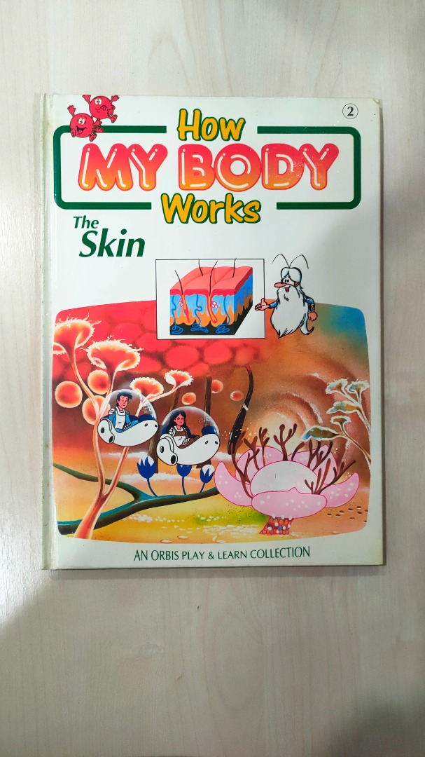 How My Body Works The Skin, Hobbies & Toys, Books & Magazines, Children ...