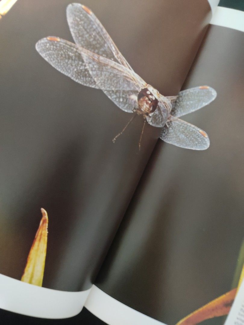 Insects: An illustrated survey of the most successful animals on Earth ...