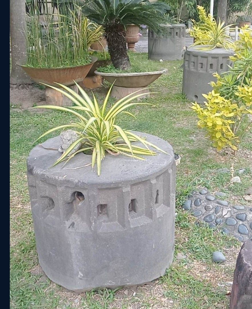 Kabyawan for sale, Furniture & Home Living, Gardening, Plants & Seeds ...