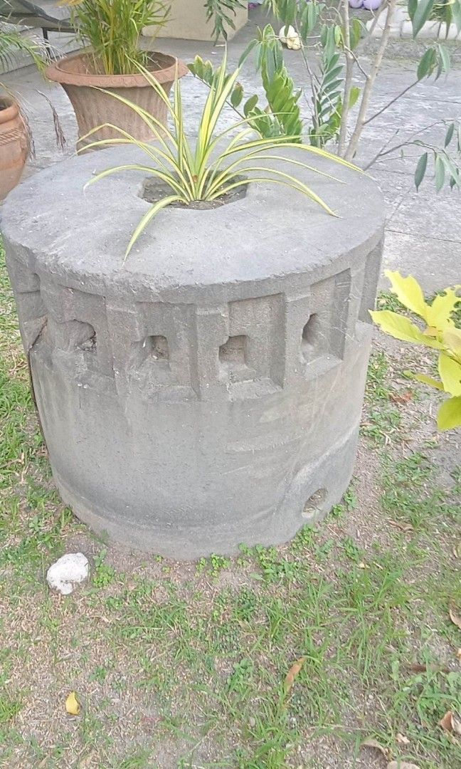 Kabyawan for sale, Furniture & Home Living, Gardening, Plants & Seeds ...