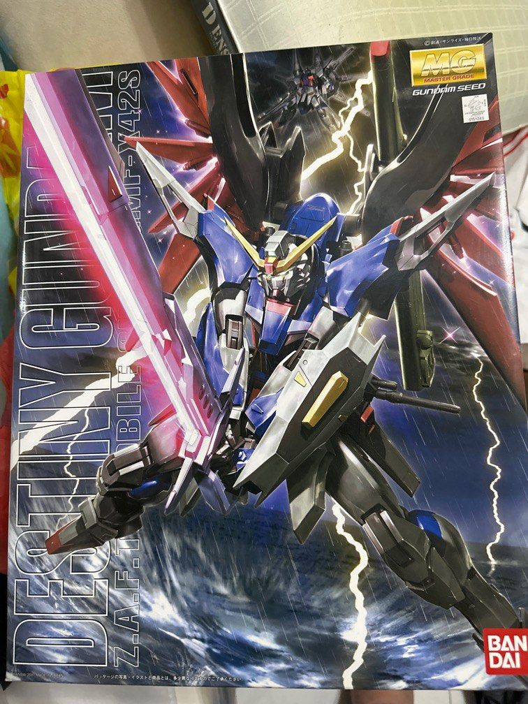 MG Destiny - Gundam Seed Destiny Kit, Hobbies & Toys, Toys & Games on ...