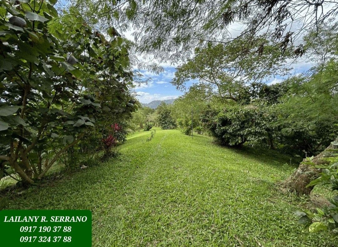 NEW! Tagaytay Overlooking Lot for Sale, Property, For Sale, Lot on ...