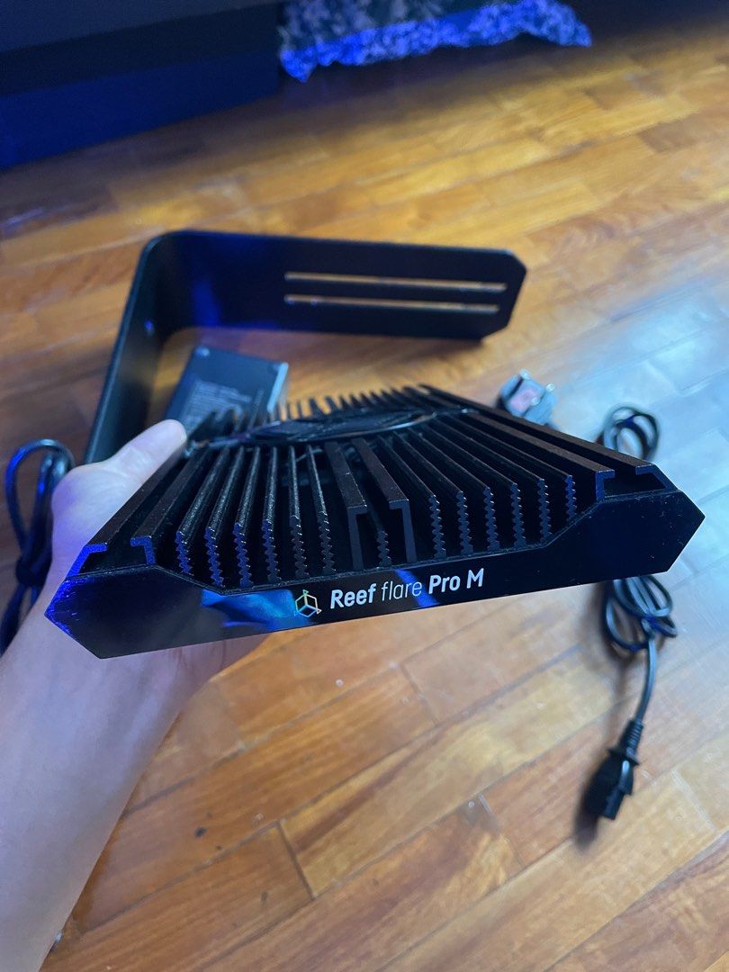 Reef Flare Pro M, Pet Supplies, Homes & Other Pet Accessories on Carousell