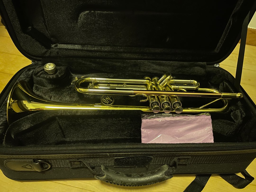 Trumpet Trevor James, Hobbies & Toys, Music & Media, Musical ...