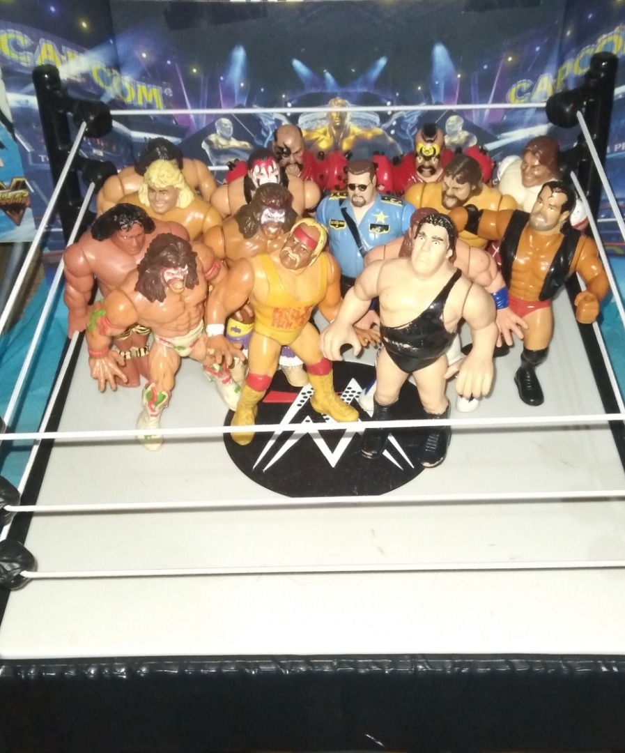 WWE WWF hasbro vintage wrestling figures rare on Carousell