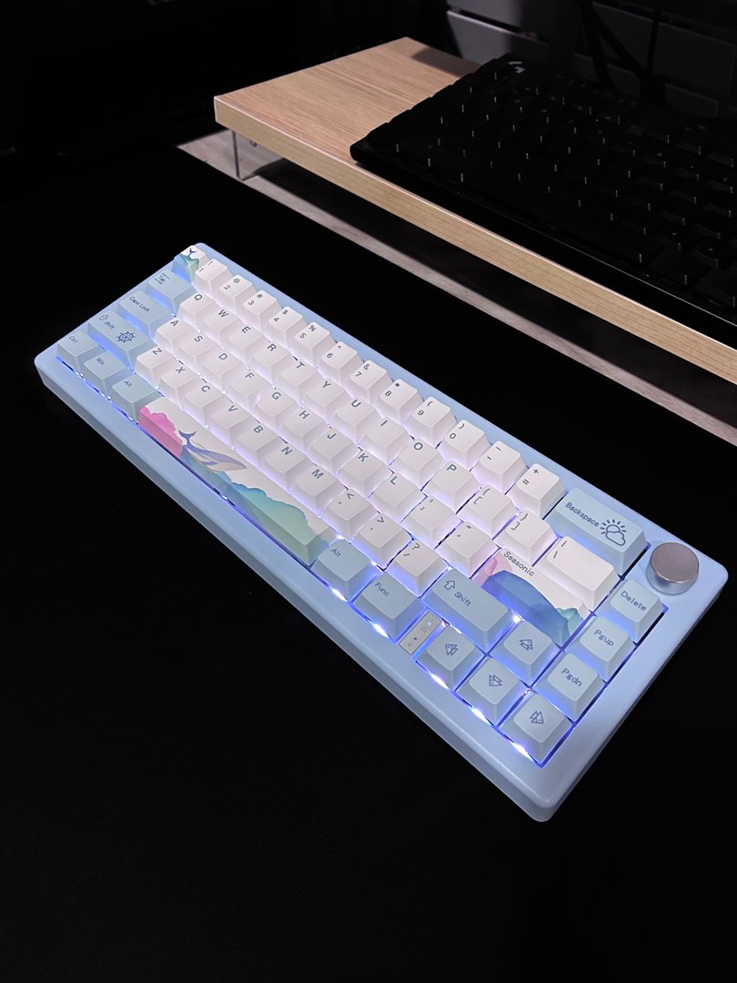 65% Custom Mechanical Keyboard ( Seasonic Whale keycaps), Computers & Tech, Parts & Accessories ...