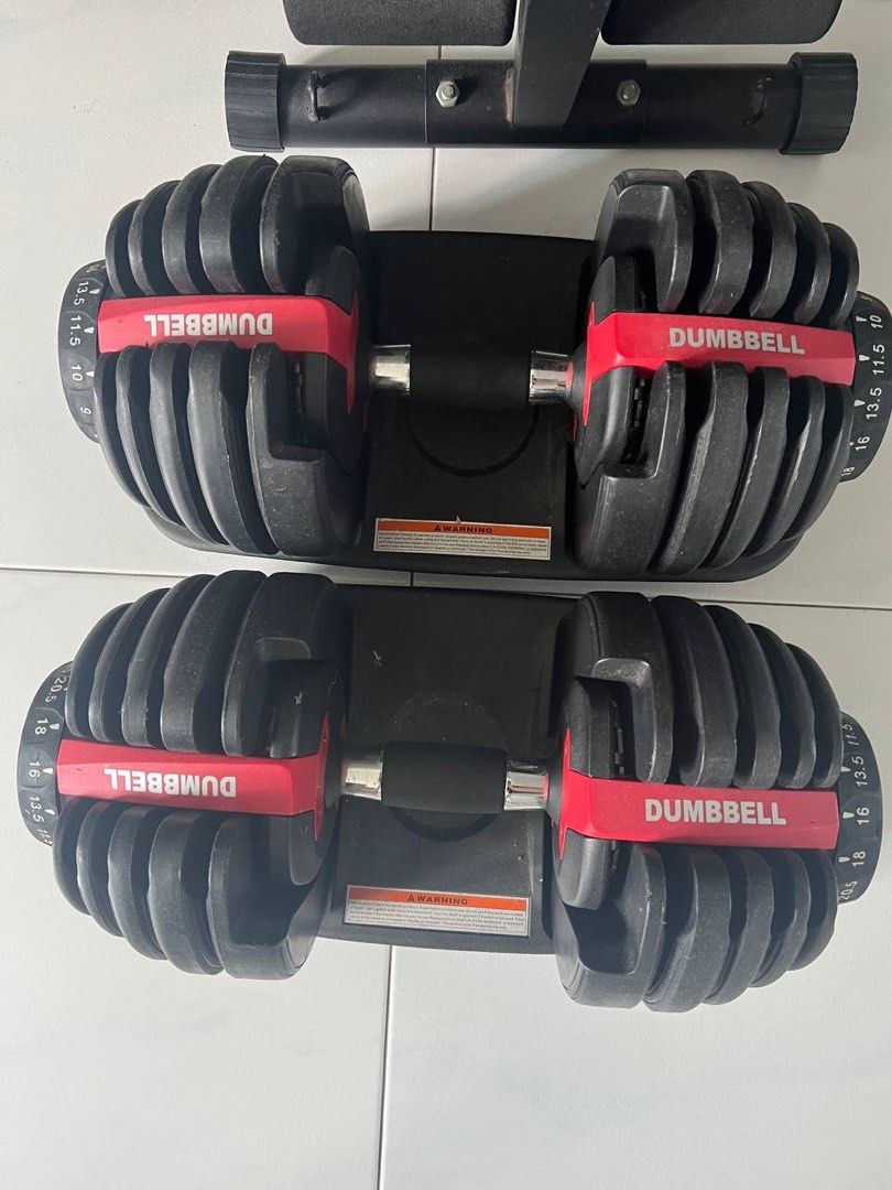Adjustable Bench with Dumbbells, Sports Equipment, Exercise & Fitness ...