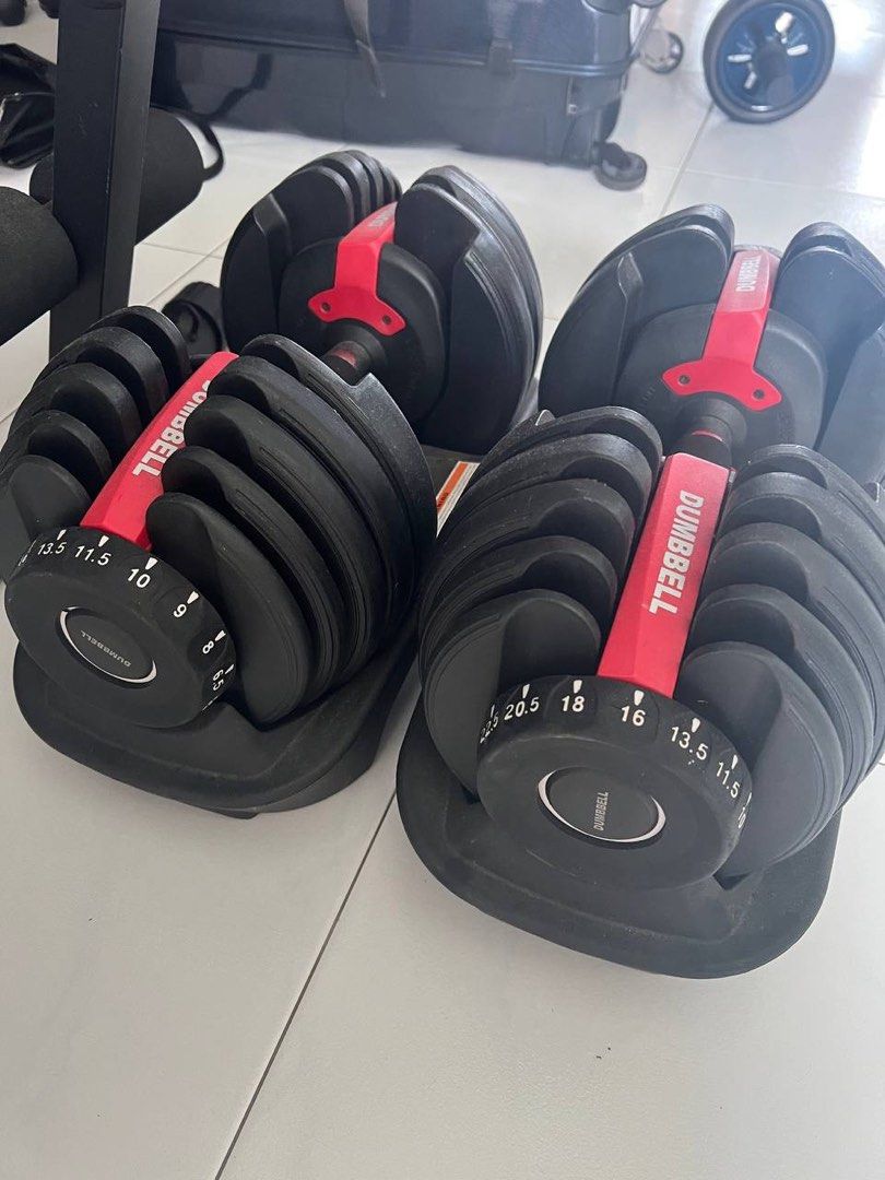 Adjustable Bench with Dumbbells, Sports Equipment, Exercise & Fitness ...