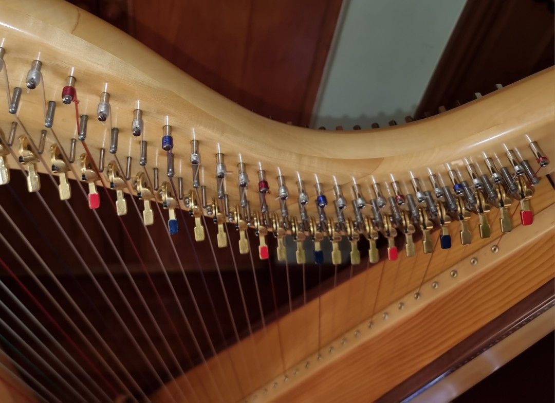 Aoyama Box Harp (140N), Hobbies & Toys, Music & Media, Musical ...