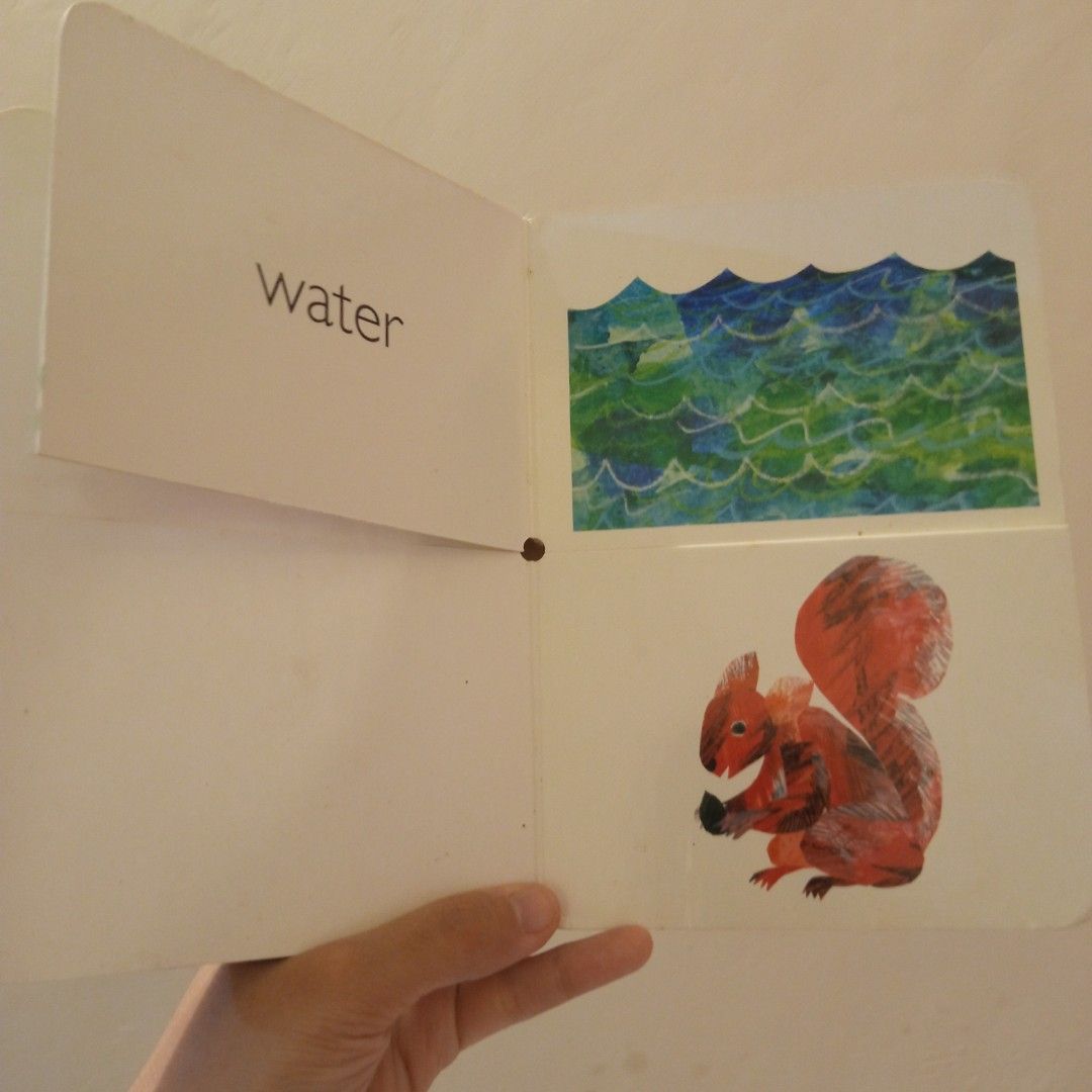 Boardbook anak my very first book of animal homes eric carle / buku bbw ...