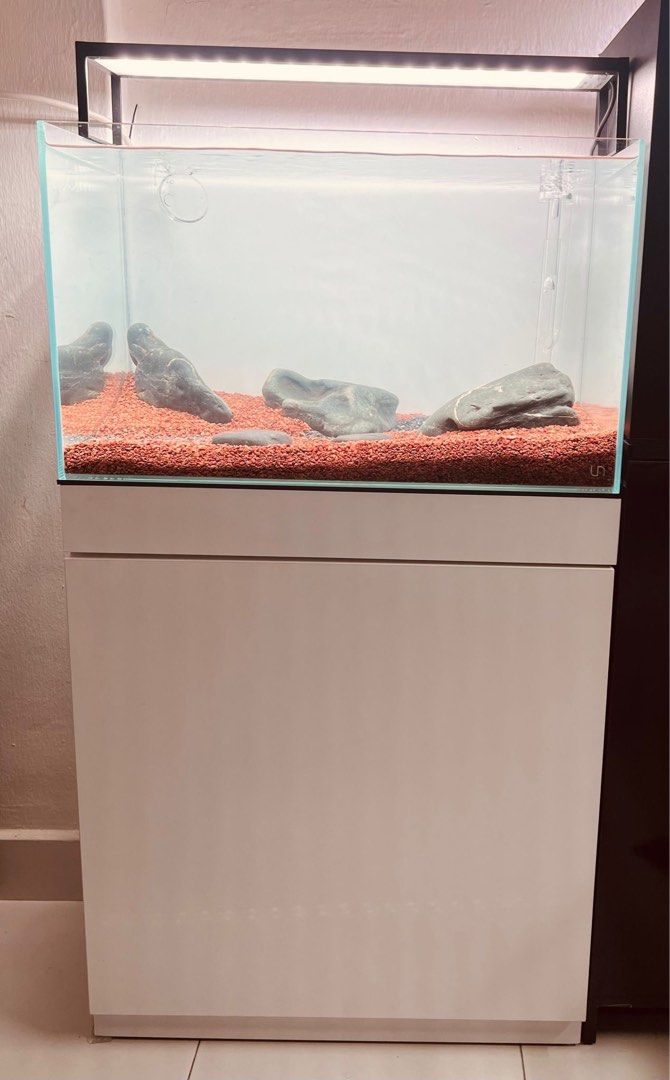 Crystal Fish Tank, Pet Supplies, Homes & Other Pet Accessories on Carousell