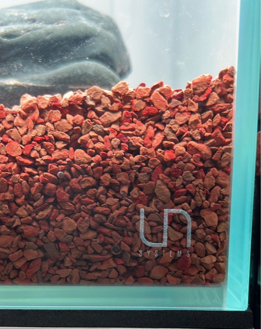 Crystal Fish Tank, Pet Supplies, Homes & Other Pet Accessories on Carousell