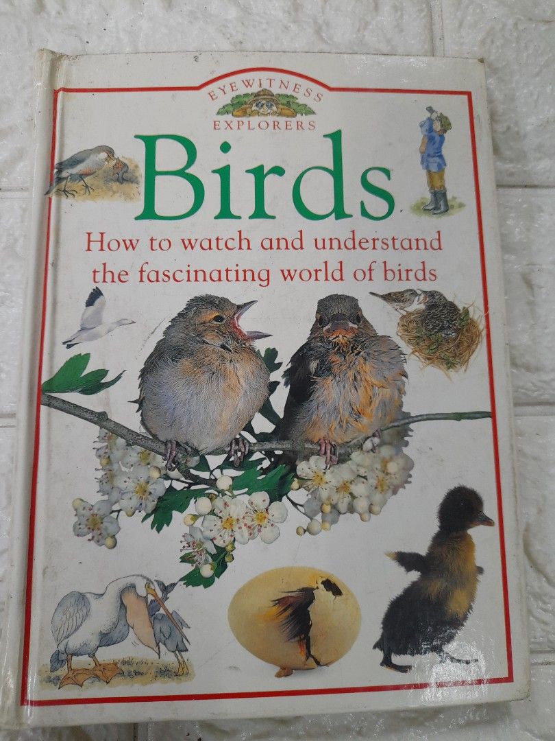 Dk Birds, Hobbies & Toys, Books & Magazines, Children's Books on Carousell