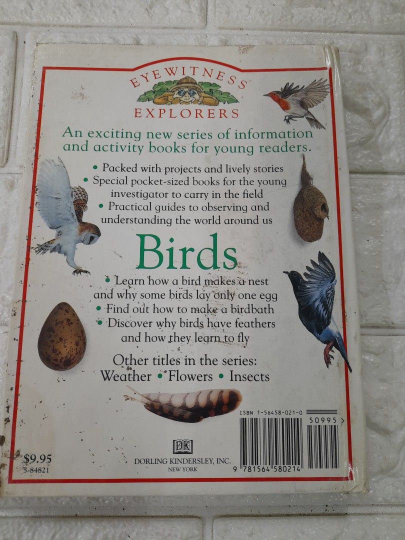 Dk Birds, Hobbies & Toys, Books & Magazines, Children's Books on Carousell