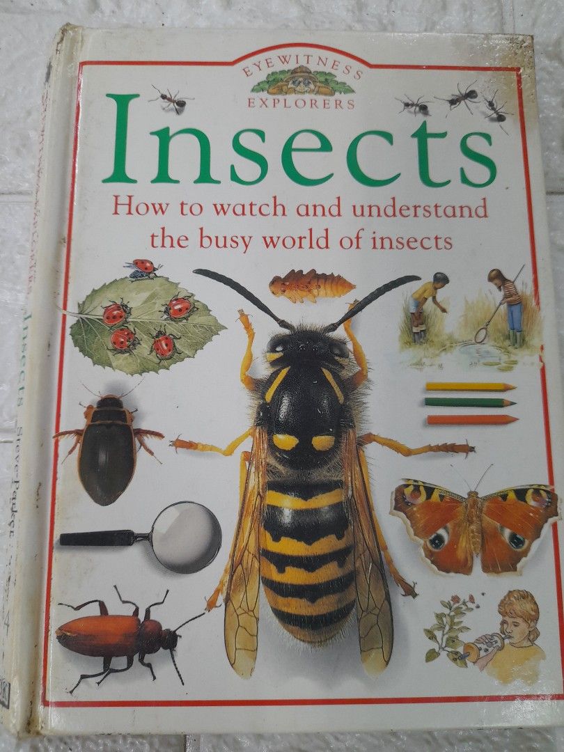Dk Insects, Hobbies & Toys, Books & Magazines, Children's Books on ...