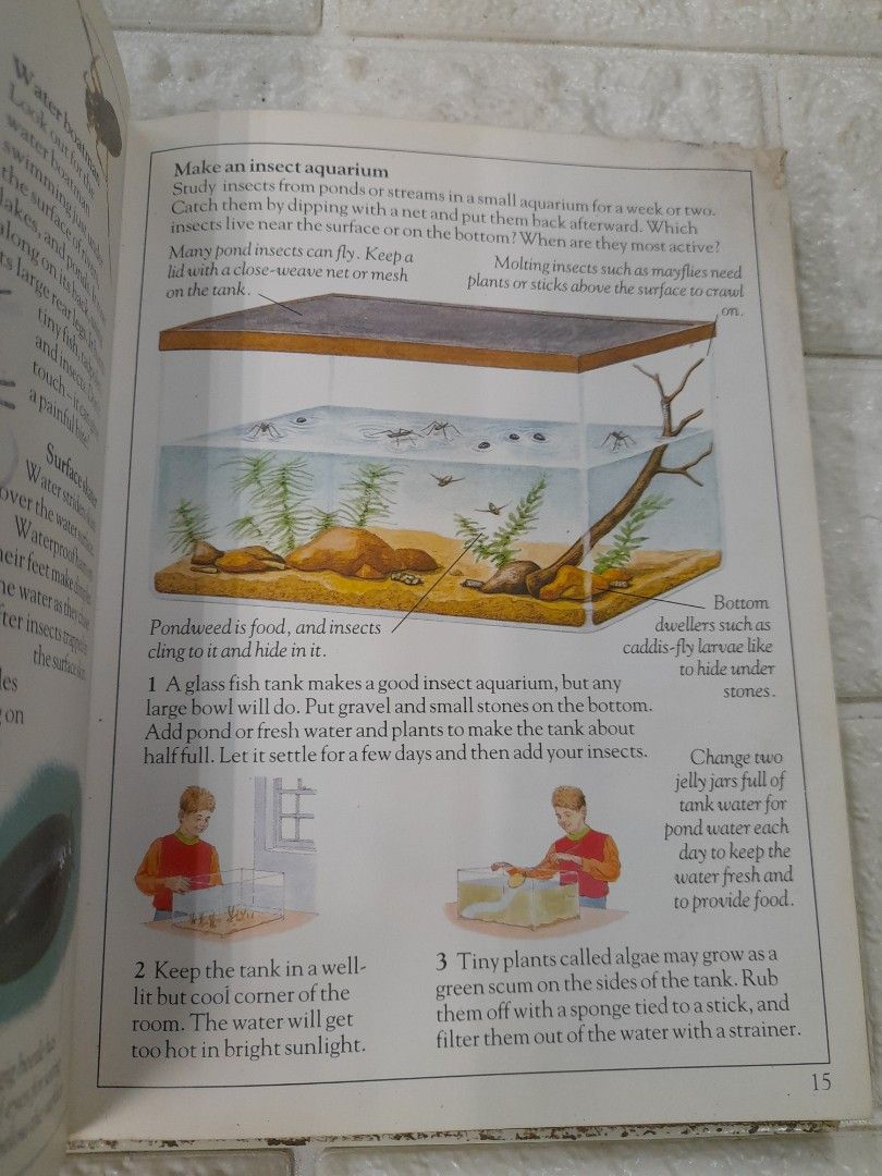 Dk Insects, Hobbies & Toys, Books & Magazines, Children's Books on ...