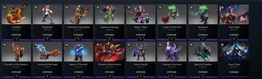 Dota 2023 Collector's Cache, Video Gaming, Gaming Accessories, In-Game Products on Carousell