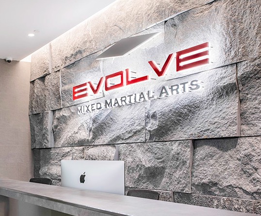 Evolve Membership (black card/ all access) -5 months, Everything Else ...