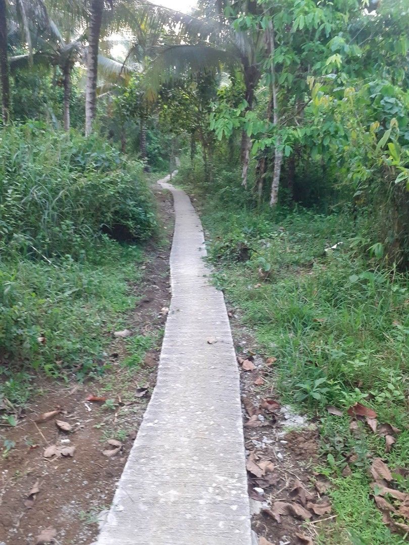 Farm in Calaug Quezon (Coconut and other fruit bearing trees), Property ...