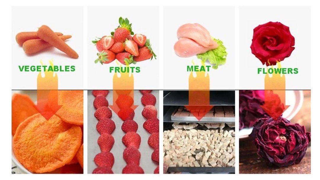 Freeze drying service freeze dryer, TV & Home Appliances, Kitchen ...