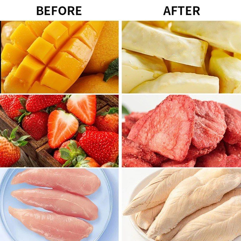 Freeze drying service freeze dryer, TV & Home Appliances, Kitchen ...