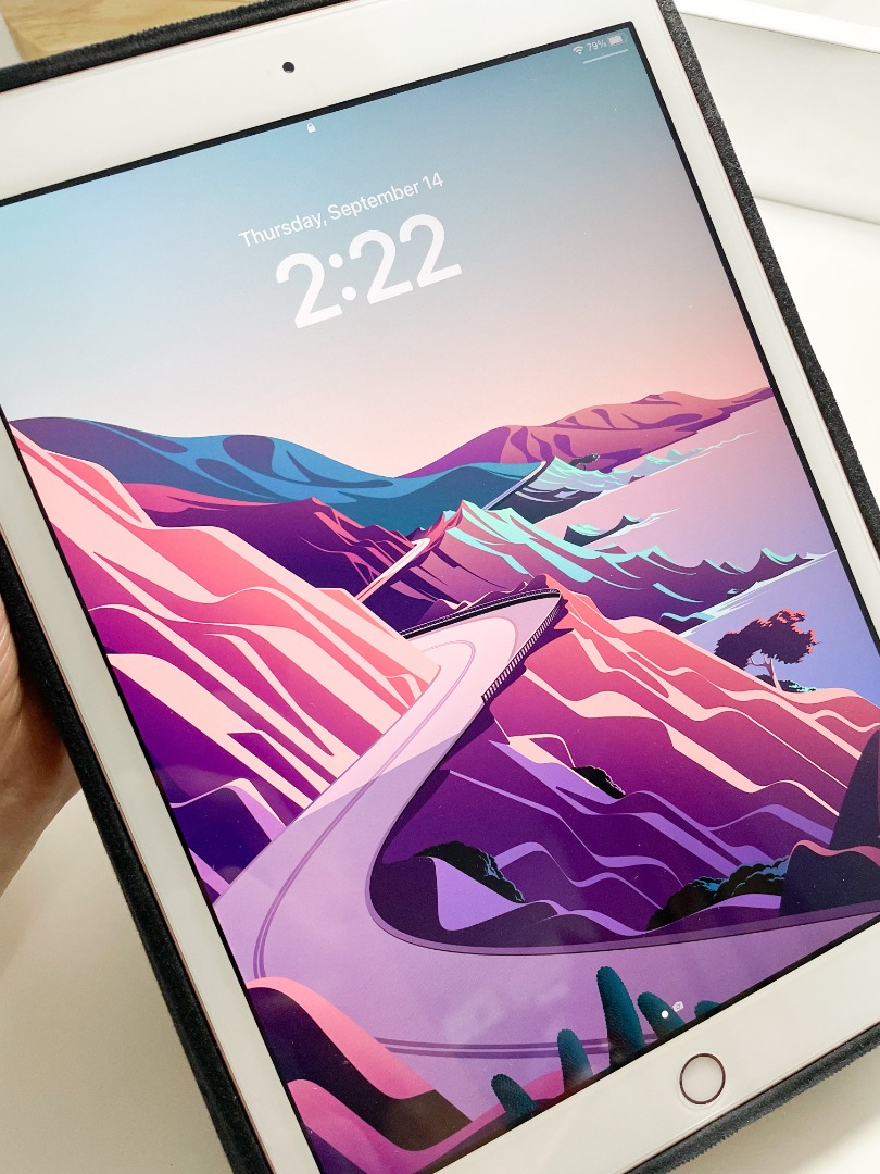iPad 8th Generation (Wi-Fi), Mobile Phones & Gadgets, Tablets, iPad on ...