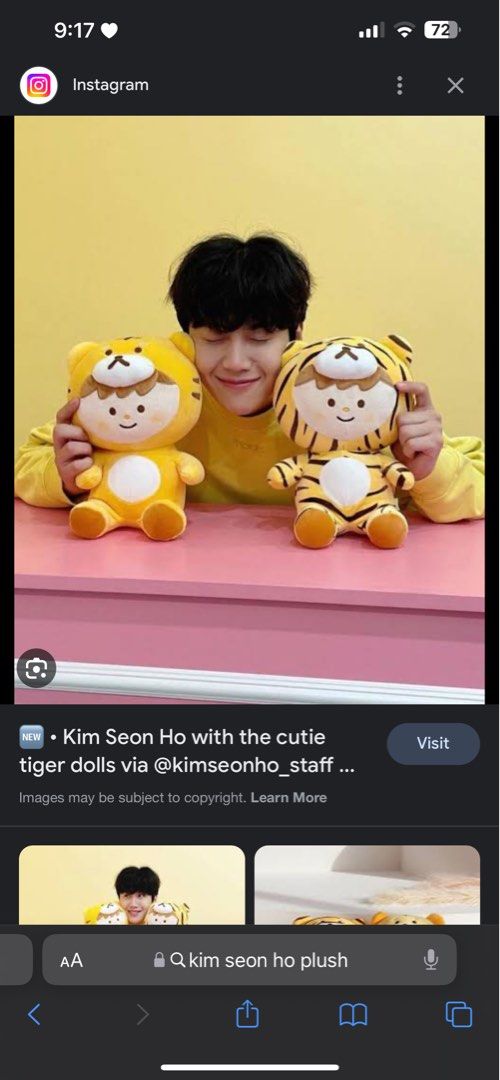 Kim Seon Ho Tiger Plush, Hobbies & Toys, Toys & Games on Carousell