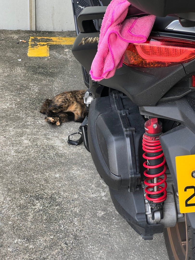 Profender Flash series Xmax , Motorcycles, Motorcycle Accessories on ...