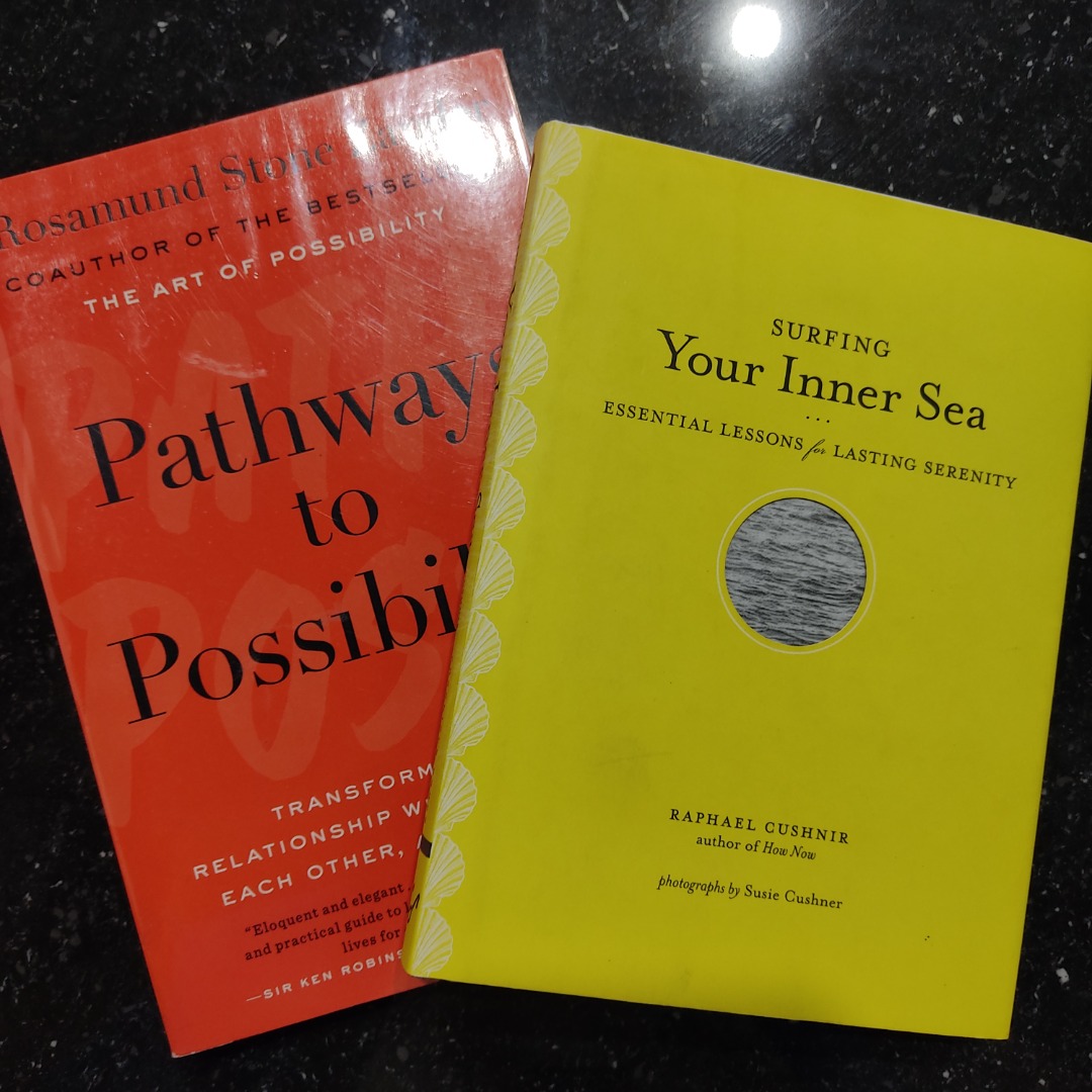 Self-Help Books (BUNDLE of 2) - Pathways to Possibility & Surfing Your ...