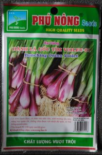 Spring onion plant For Sale | Gardening | Carousell Singapore