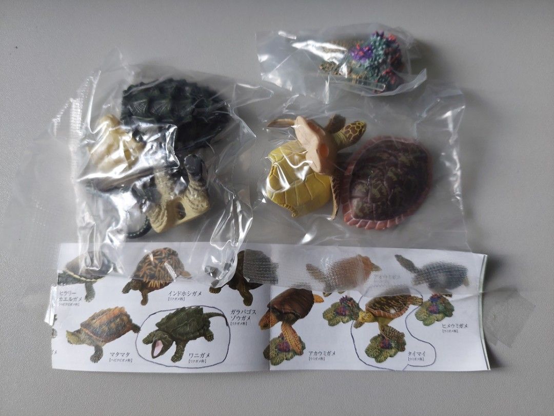 Takara Tomy Sea Turtle Aligator Snapping Turtle, Hobbies & Toys, Toys ...