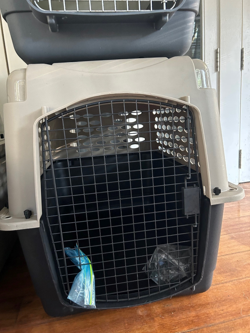 Vari Kennel Large, Pet Supplies, Homes & Other Pet Accessories on Carousell