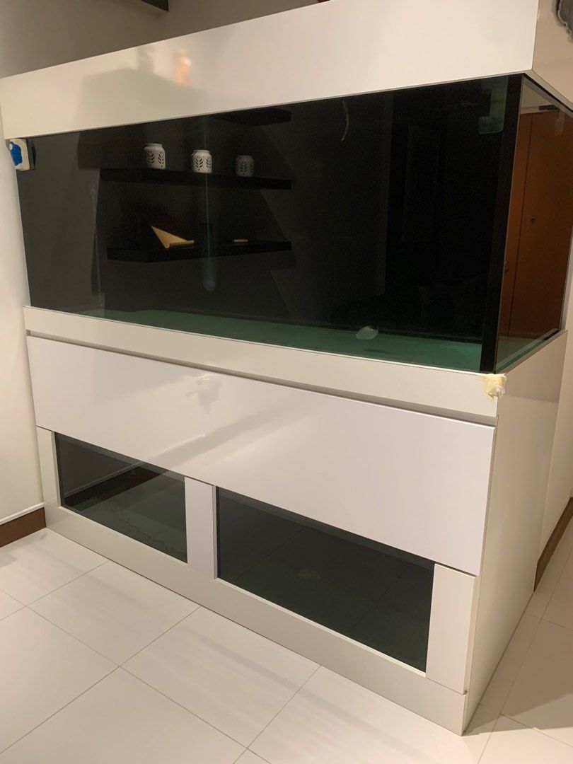 6 feet fish aquarium well condition., Pet Supplies, Homes & Other Pet ...