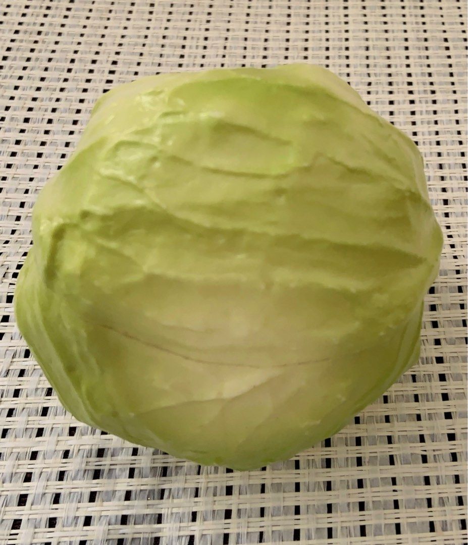 Artificial Lifelike Plastic Cabbage Decoration, Hobbies & Toys ...
