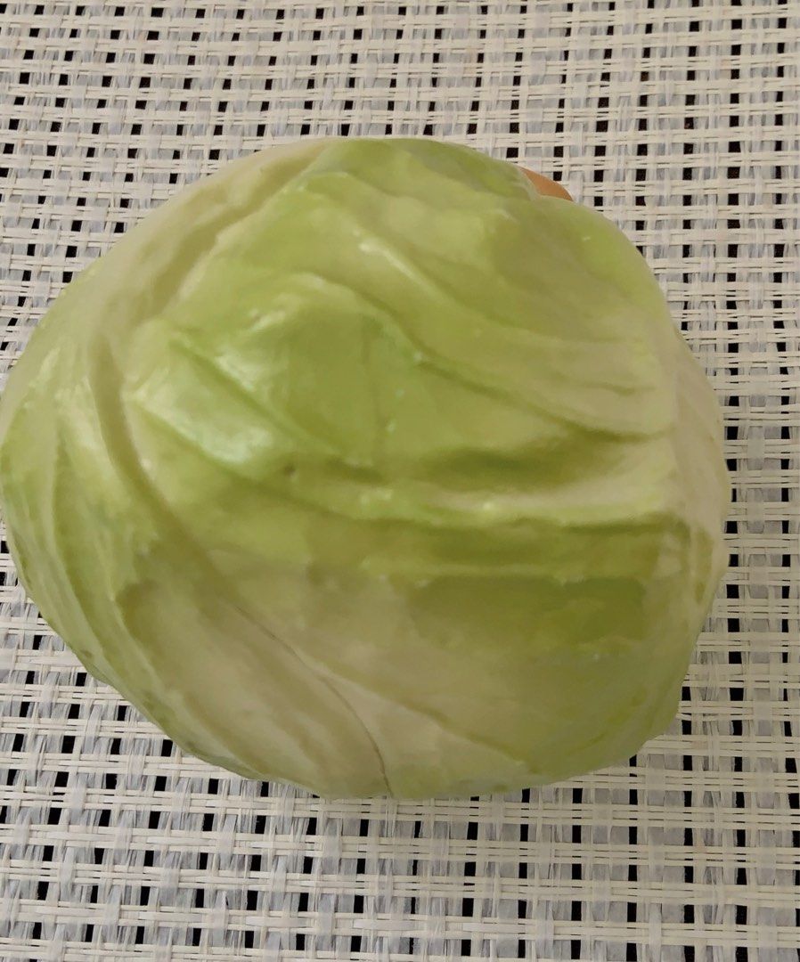 Artificial Lifelike Plastic Cabbage Decoration, Hobbies & Toys ...