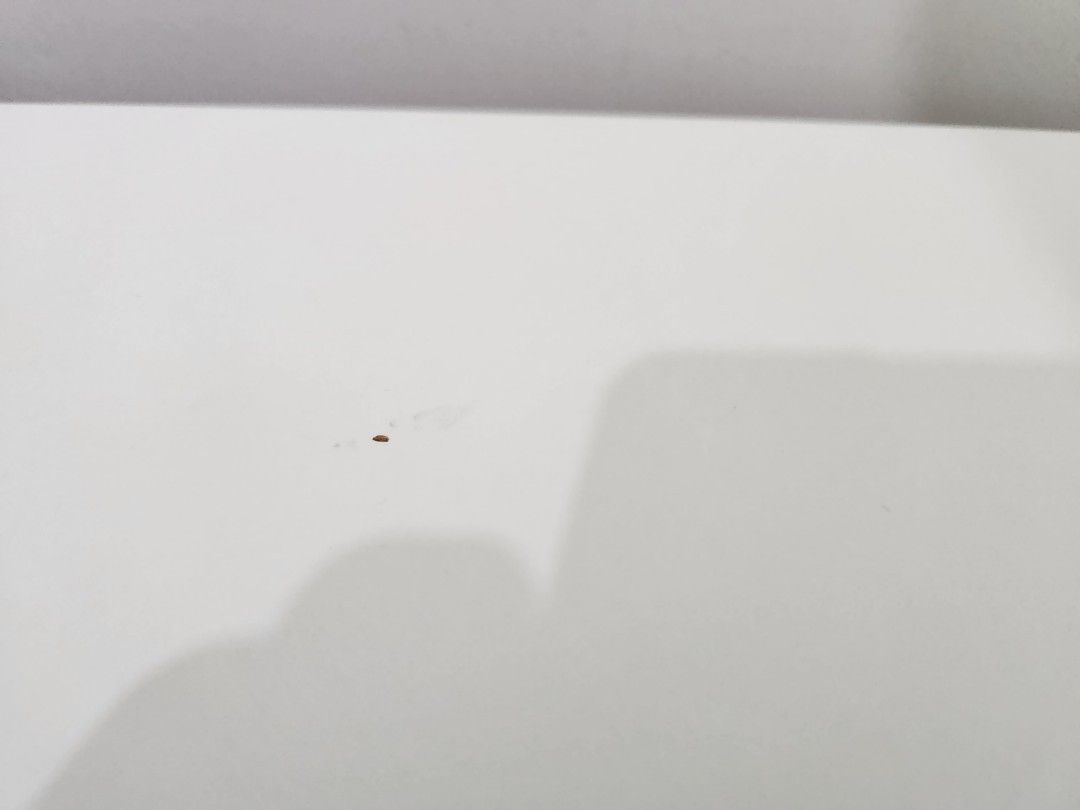 Ikea Bekant Work/Computer Desks/Table (2x 160*80cm desks) (White ...